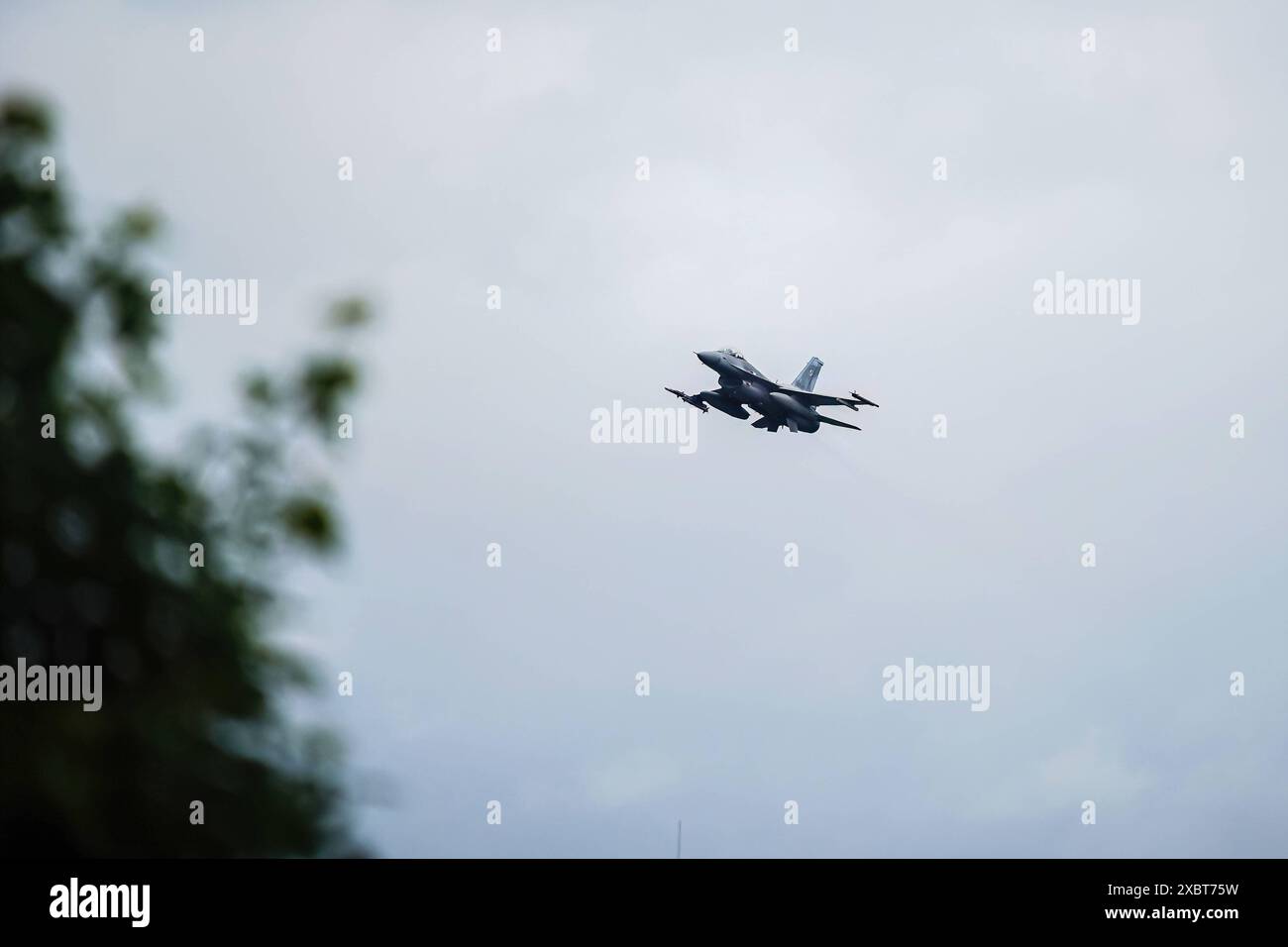 Jagel GER, Uebung Tiger Meet 2024 der NATO, 13.06.2024 F-16C Fighting ...