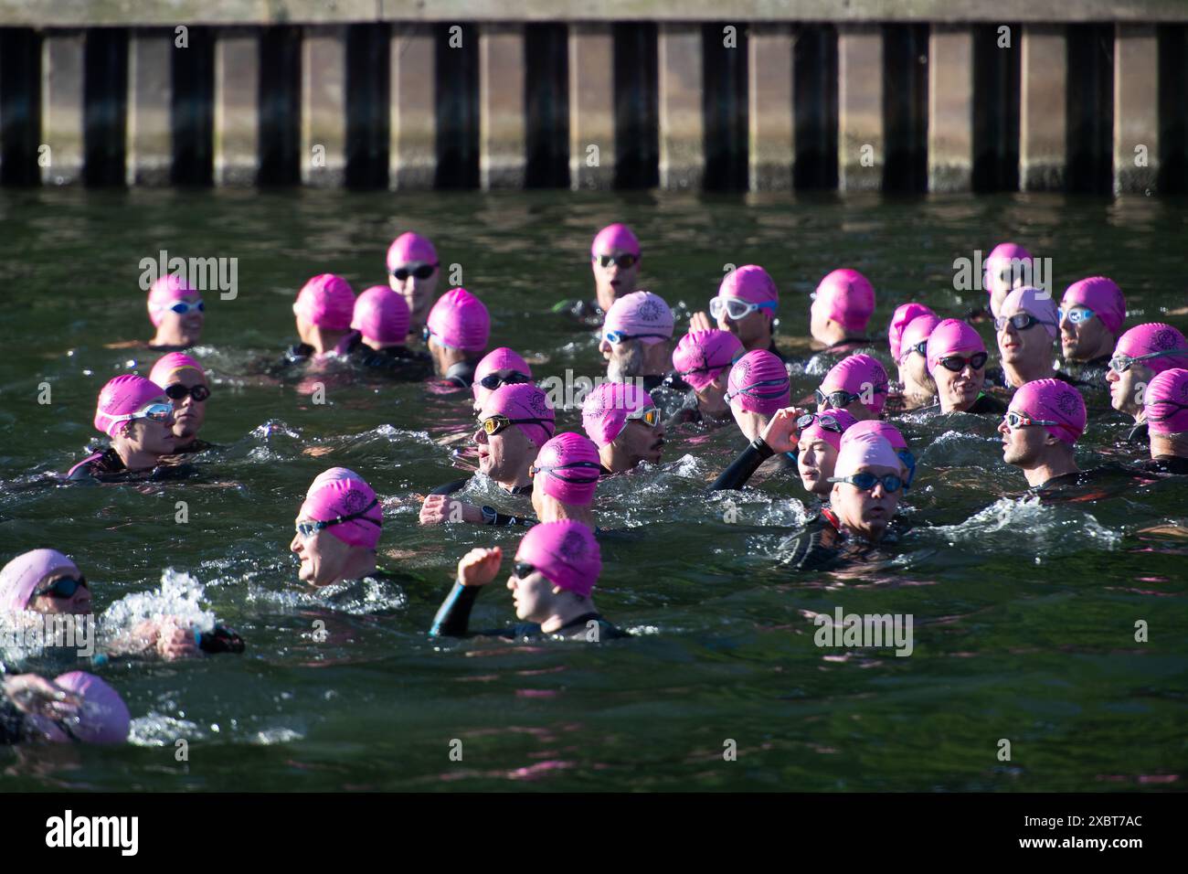 FILE PICS. 13th June, 2024. Triathletes swimming in the River Thames in ...