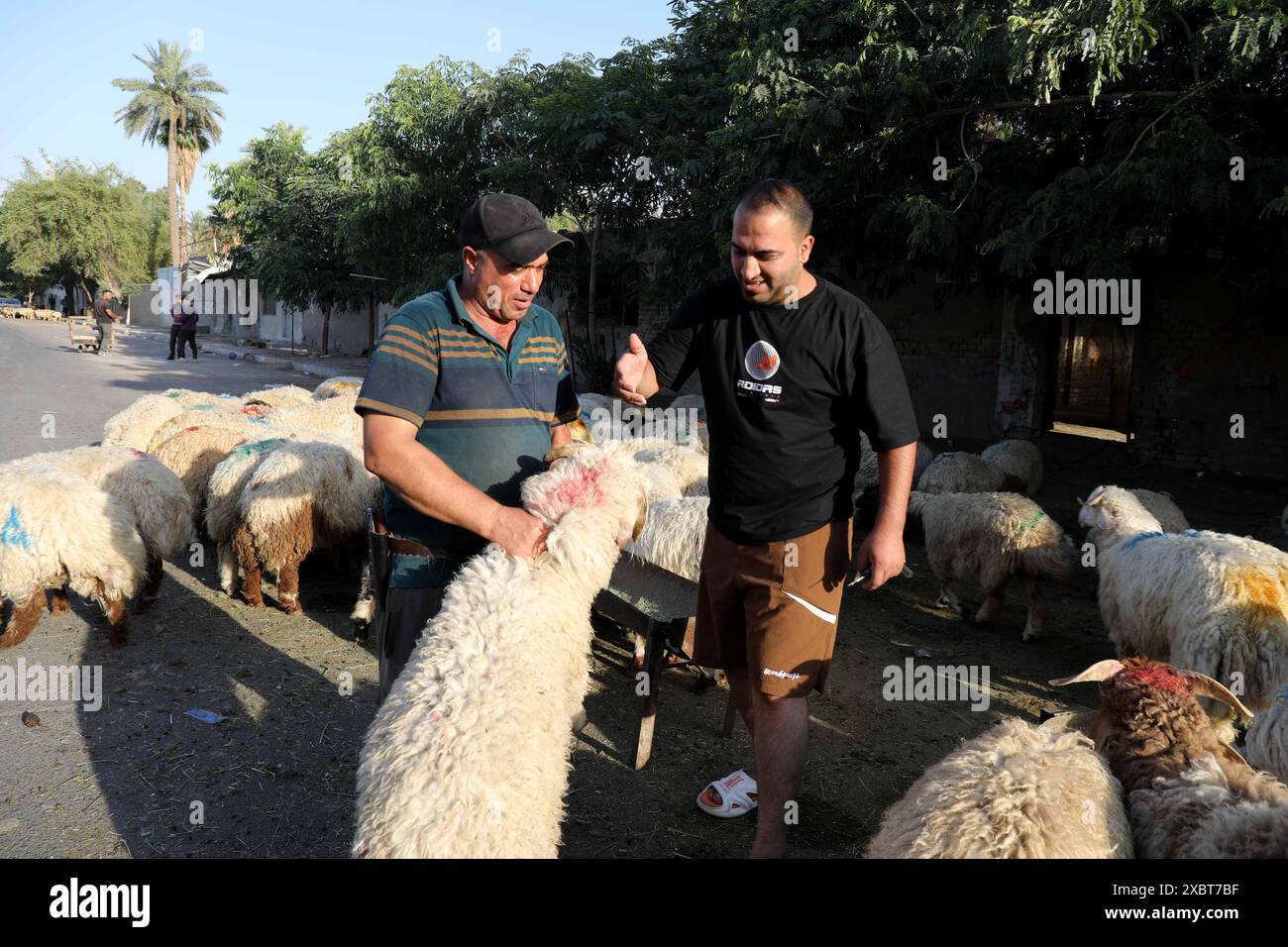 (240613) -- BAGHDAD, June 13, 2024 (Xinhua) -- People visit a livestock ...