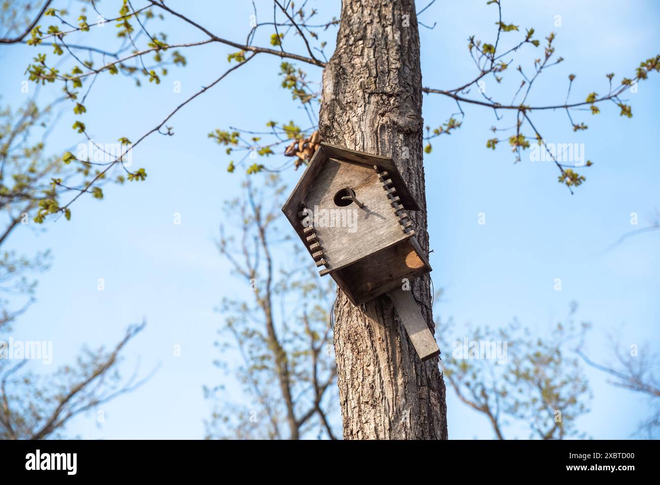 Wooden birdhouse with flowers. It hanging on the tree on sky background ...