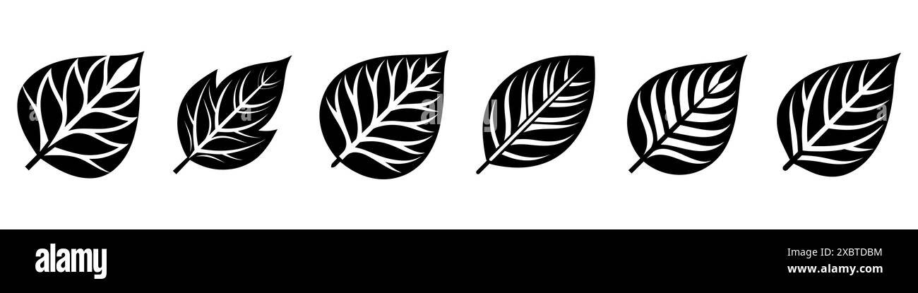 Leaf icon. Set of different leaves icons. Leaf vector icons. Black ...