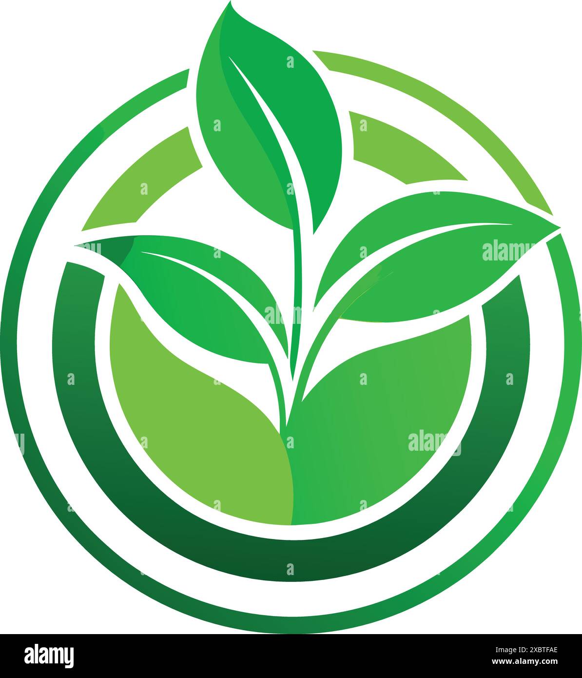 Natural fresh foliage Stock Vector Images - Alamy