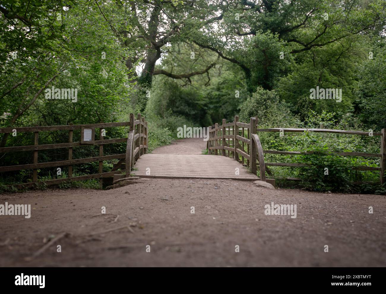 Pooh Bridge, Ashdown Forest, where Christopher Robin famously played ...