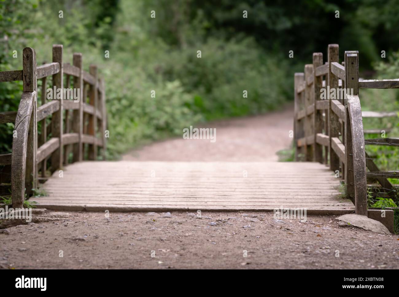 100 acre aker woods hi-res stock photography and images - Alamy