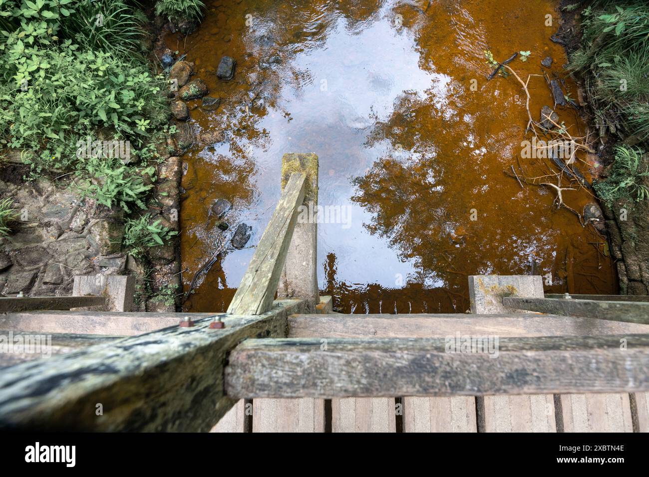 View into stream from Pooh Bridge, Ashdown Forest, where Christopher ...