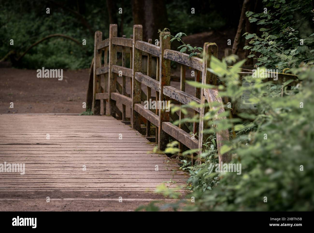 Pooh Bridge, Ashdown Forest, where Christopher Robin famously played ...