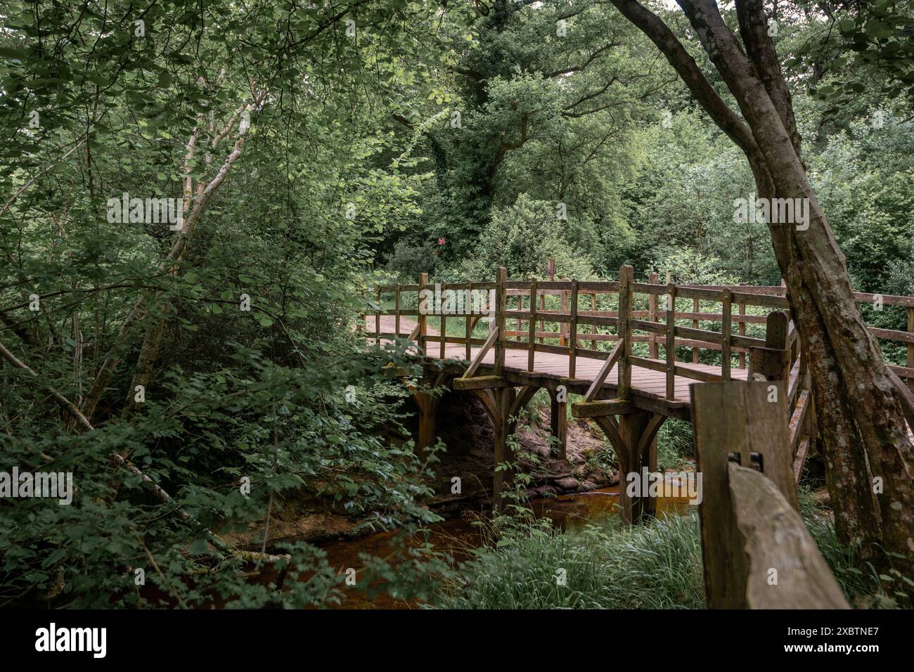 Pooh Bridge, Ashdown Forest, where Christopher Robin famously played ...