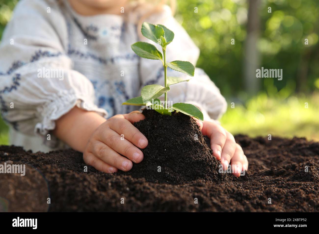 Cute baby girl planting tree outdoors, closeup Stock Photo - Alamy