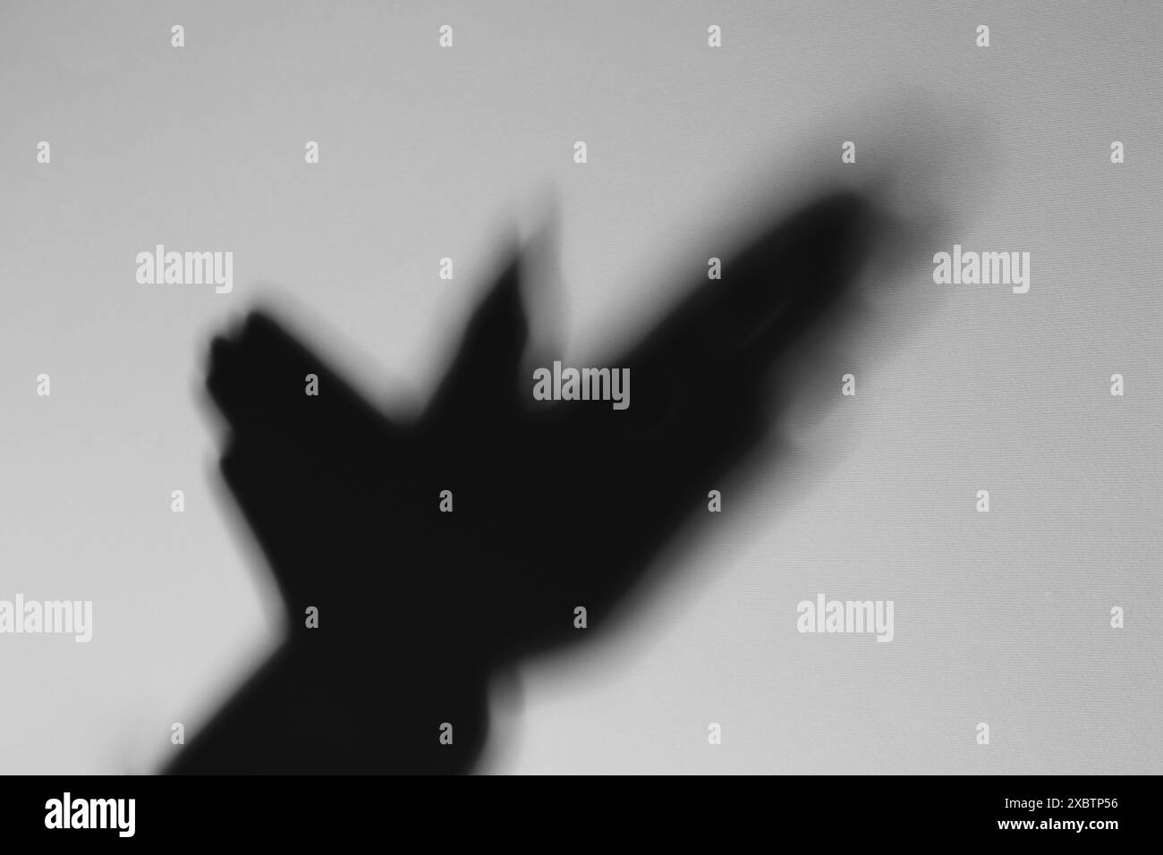 Hands shadow bird hi-res stock photography and images - Alamy
