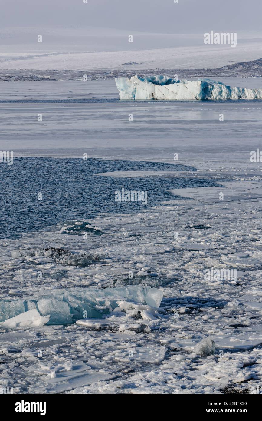 Expansive Arctic Ice Field with Floating Icebergs Stock Photo - Alamy