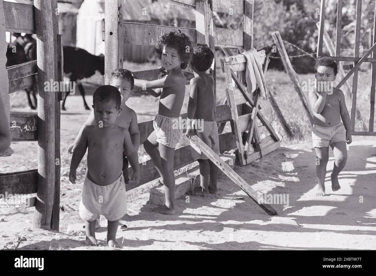 Poor children in slum favela hi-res stock photography and images - Alamy