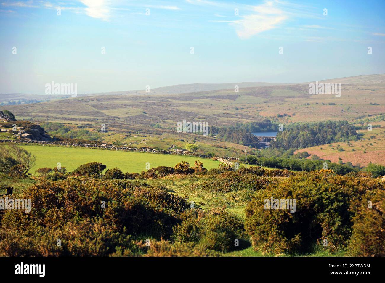 View to Venn Reservoir on Dartmoor, Devon Stock Photo - Alamy