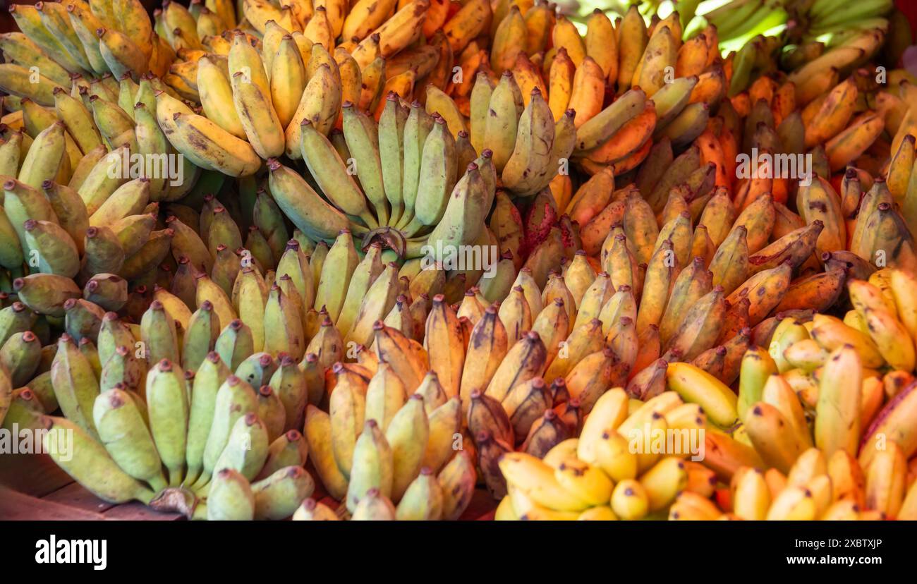 Fruits and vegetables on local market in Cambodia Stock Photo - Alamy