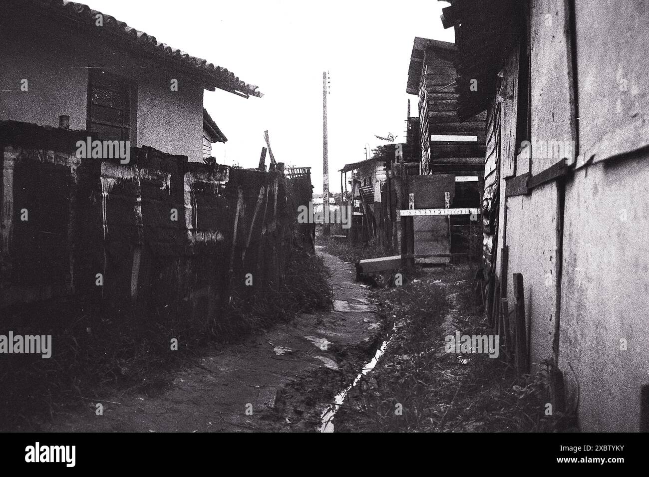 Recife brazil favela hi-res stock photography and images - Alamy