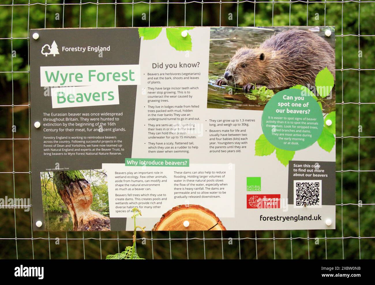Information signs on the Beaver enclosure in the Wyre forest ...