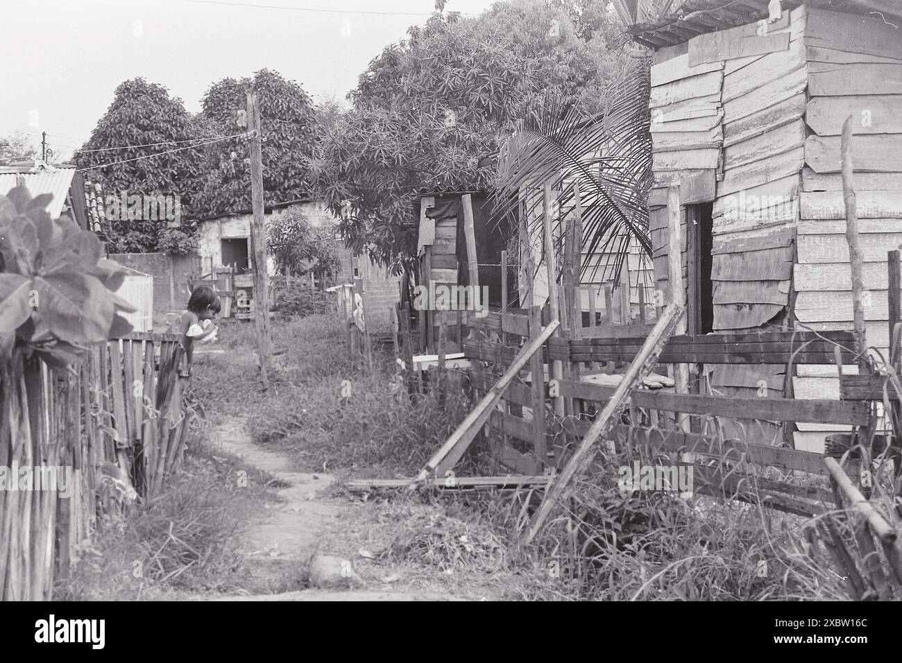 Favela in Recife/Brazil Stock Photo - Alamy