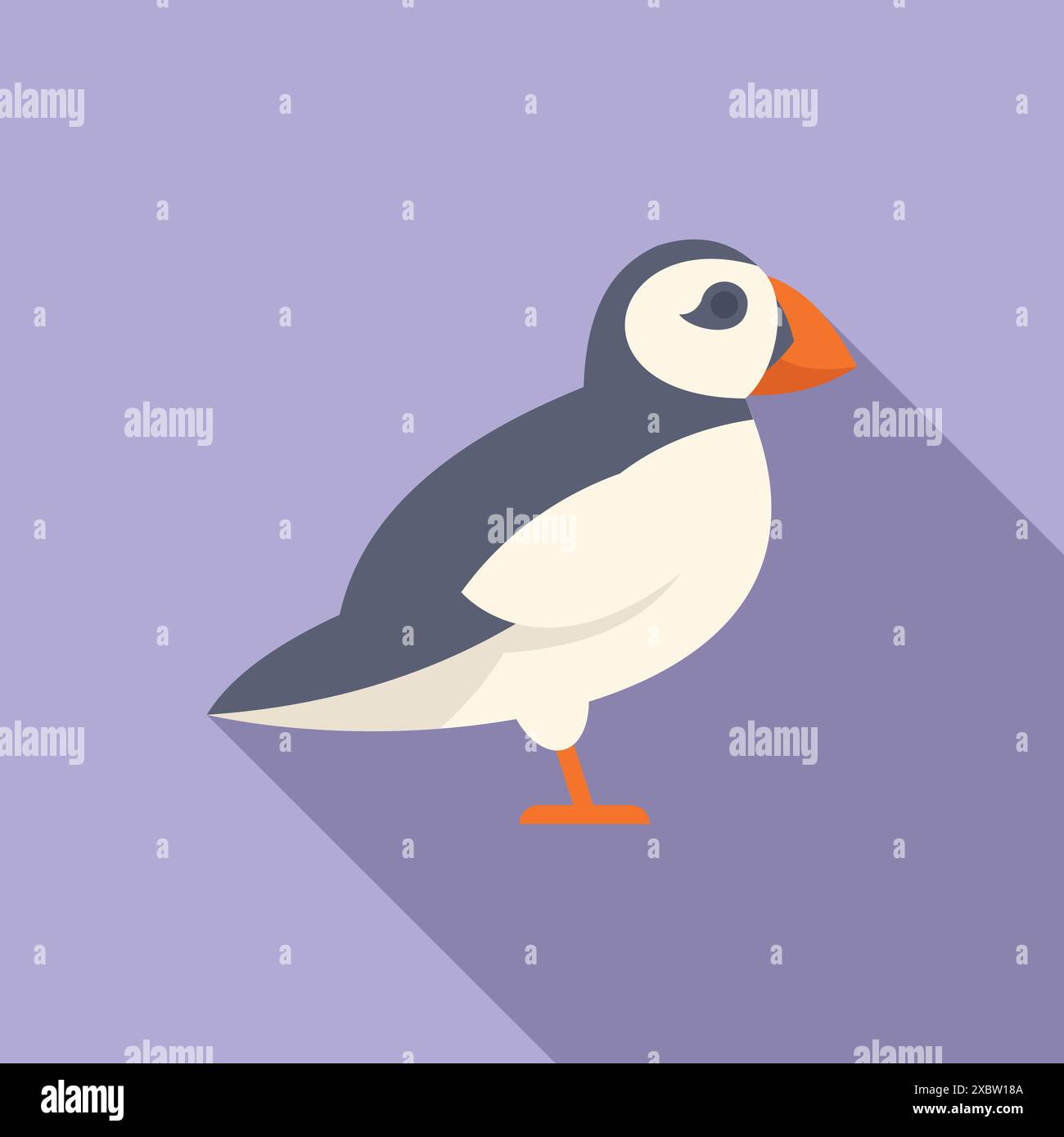 Atlantic puffin bird standing with big beak icon Stock Vector Image ...