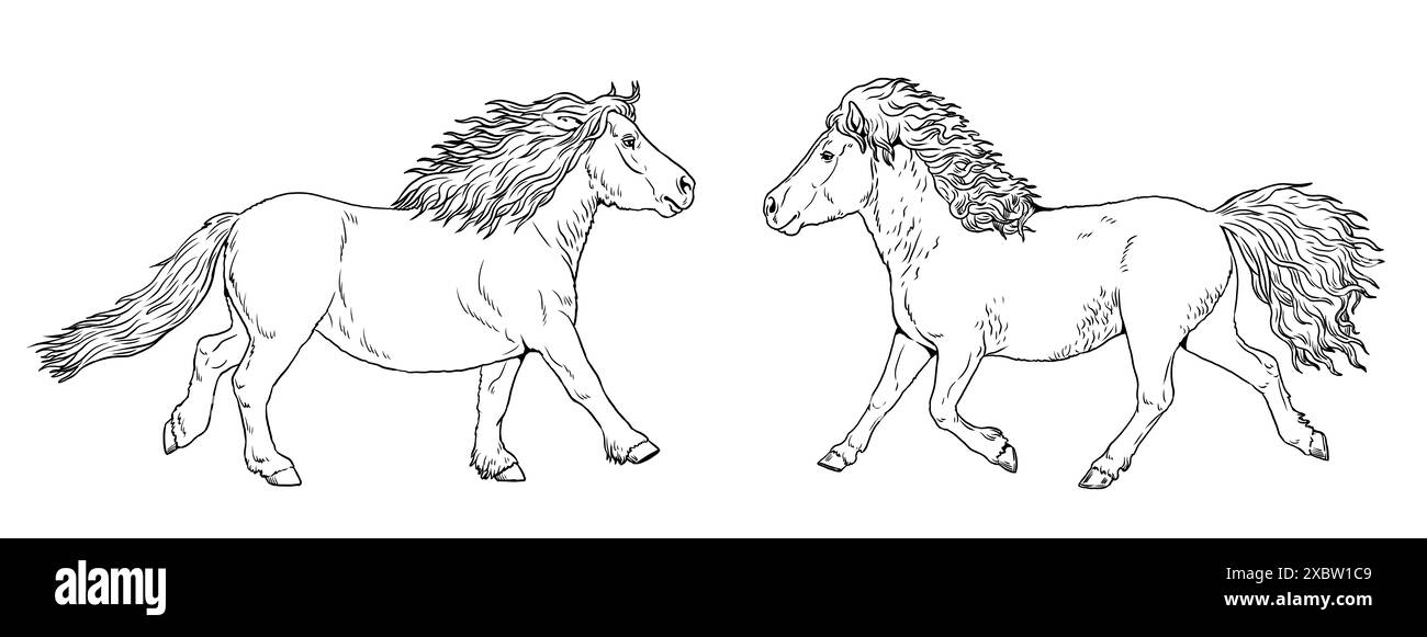 Horse digital illustration hi-res stock photography and images - Alamy