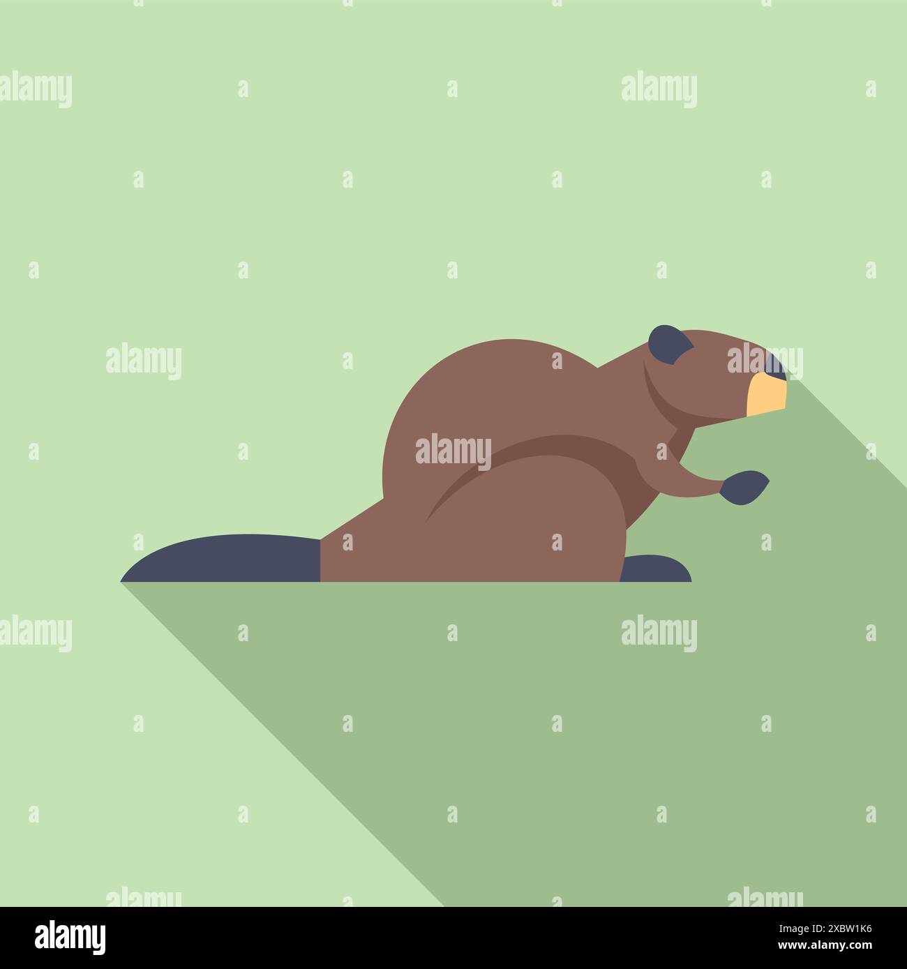 Brown beaver standing on four legs, side view, flat design illustration ...
