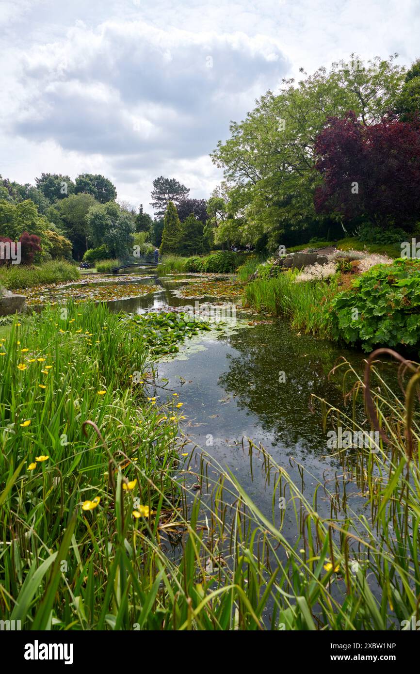 Burnby Hall Gardens and Water Lily Ponds, Pocklington, East Yorkshire ...