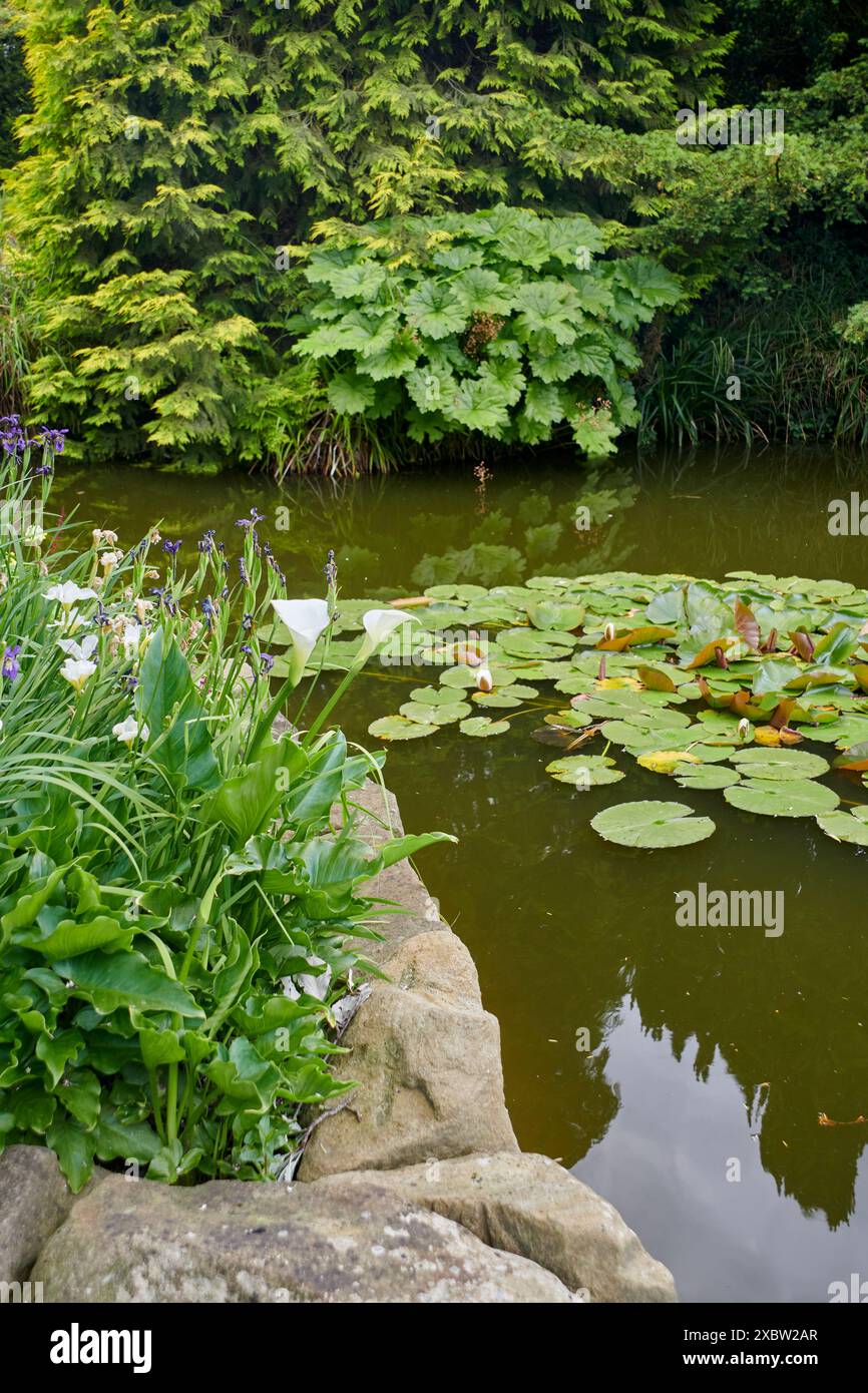 Burnby Hall Gardens and Water Lily Ponds, Pocklington, East Yorkshire, UK, Tranquil ponds ...