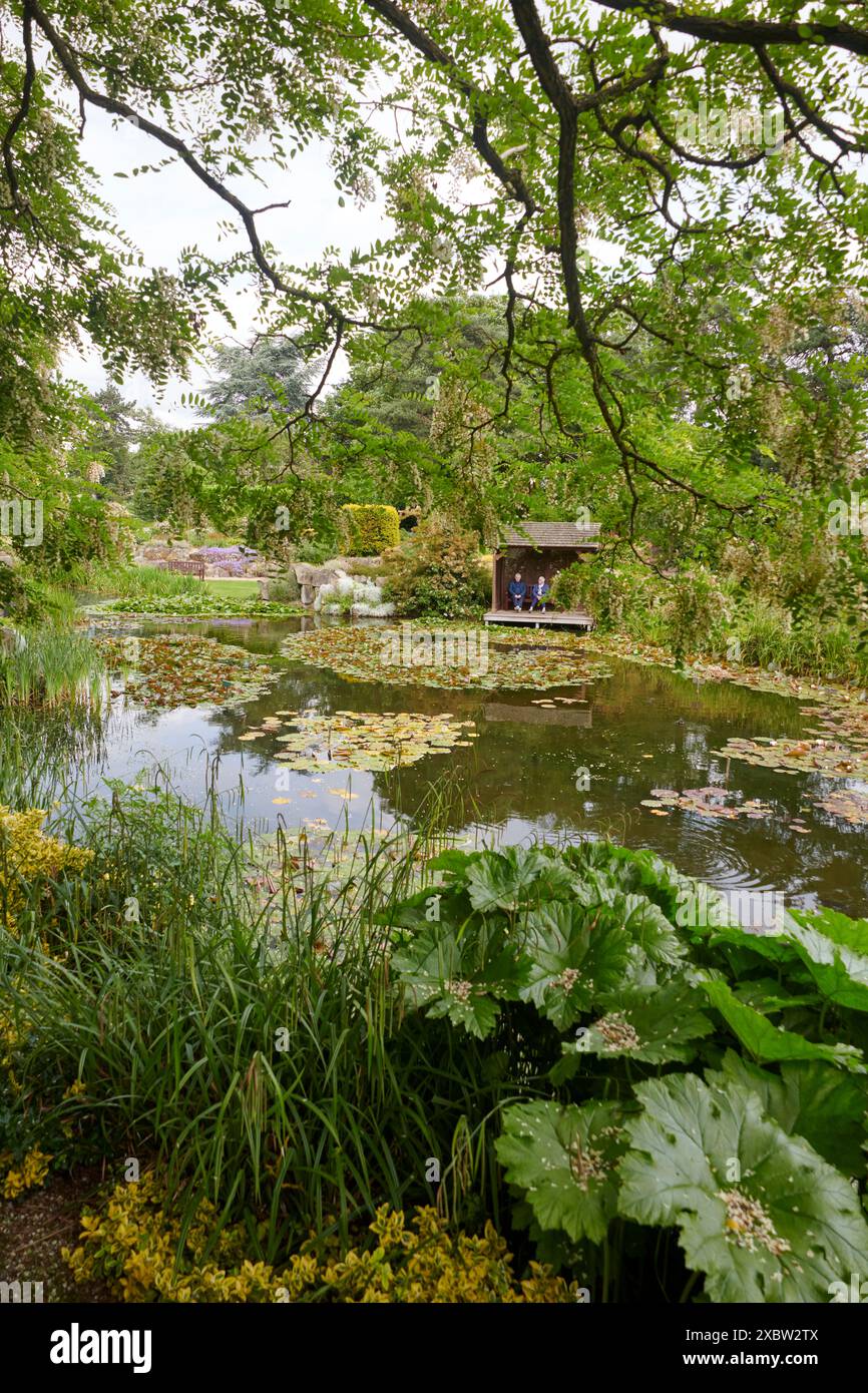 Burnby Hall Gardens and Water Lily Ponds, Pocklington, East Yorkshire, UK, Tranquil ponds ...