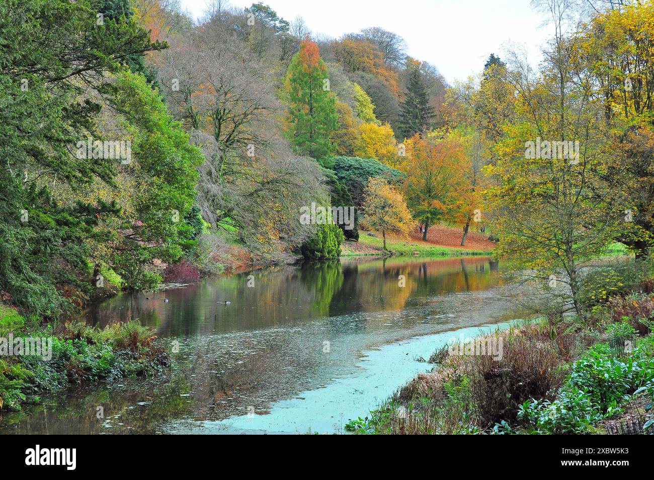 Stourhead autumn walk hi-res stock photography and images - Alamy