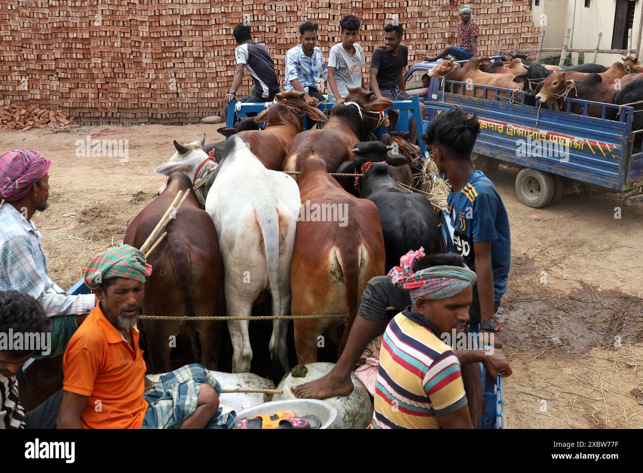June 13, 2024, Dhaka, Dhaka, Bangladesh: On the occasion of the holy Eid-al-Adha, traders are ...