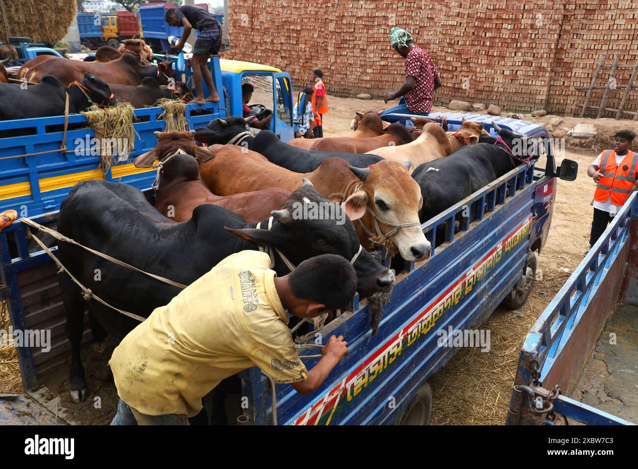 June 13, 2024, Dhaka, Dhaka, Bangladesh: On the occasion of the holy Eid-al-Adha, traders are ...