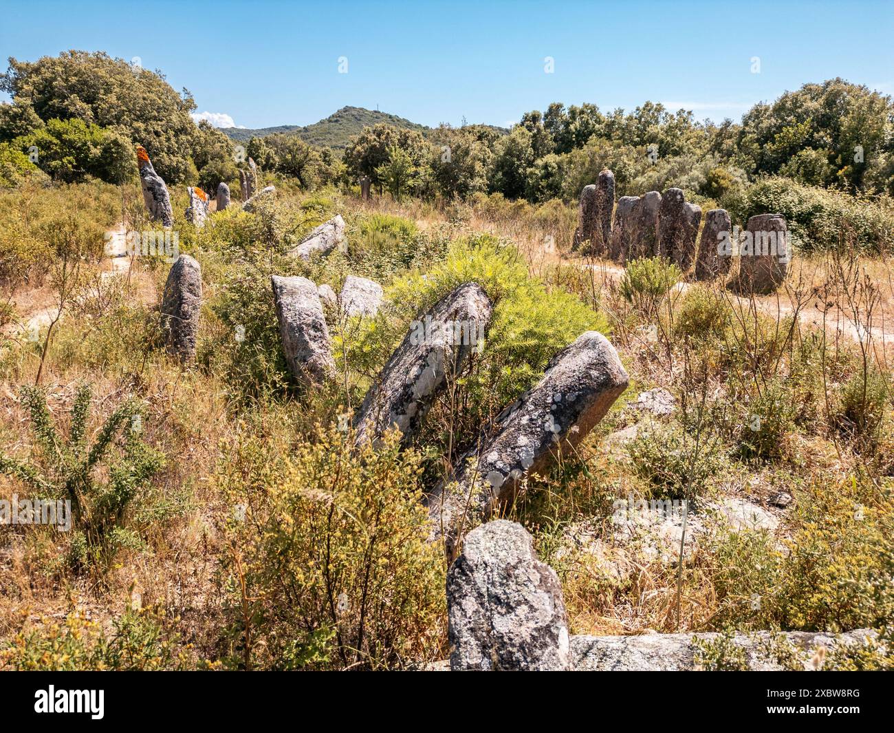 Aerial view of Menhirs of Palaggiu, a large group of prehistoric ...