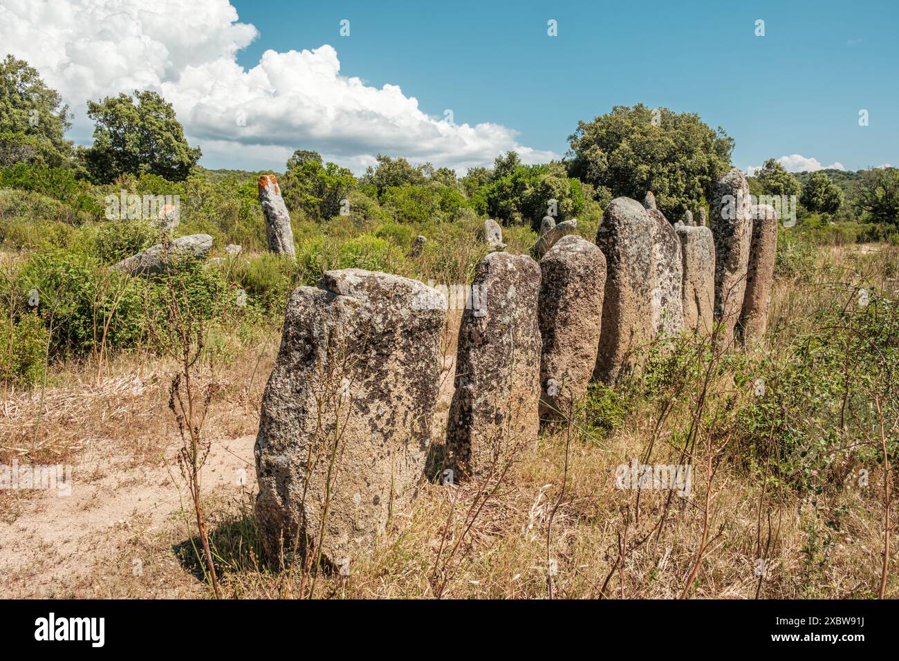 Menhirs of Palaggiu, a large group of prehistoric standing stones in ...