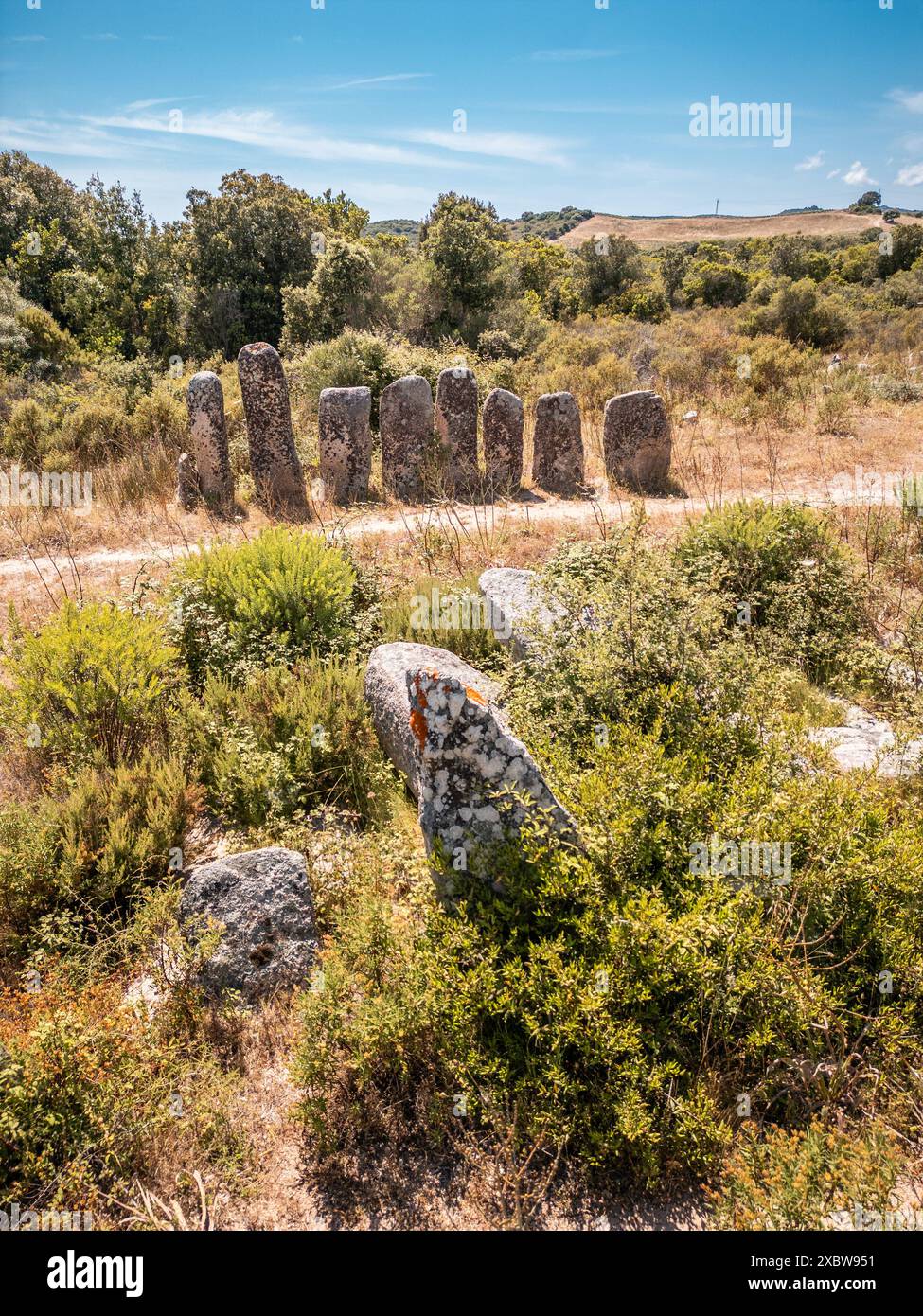 Aerial view of Menhirs of Palaggiu, a large group of prehistoric ...