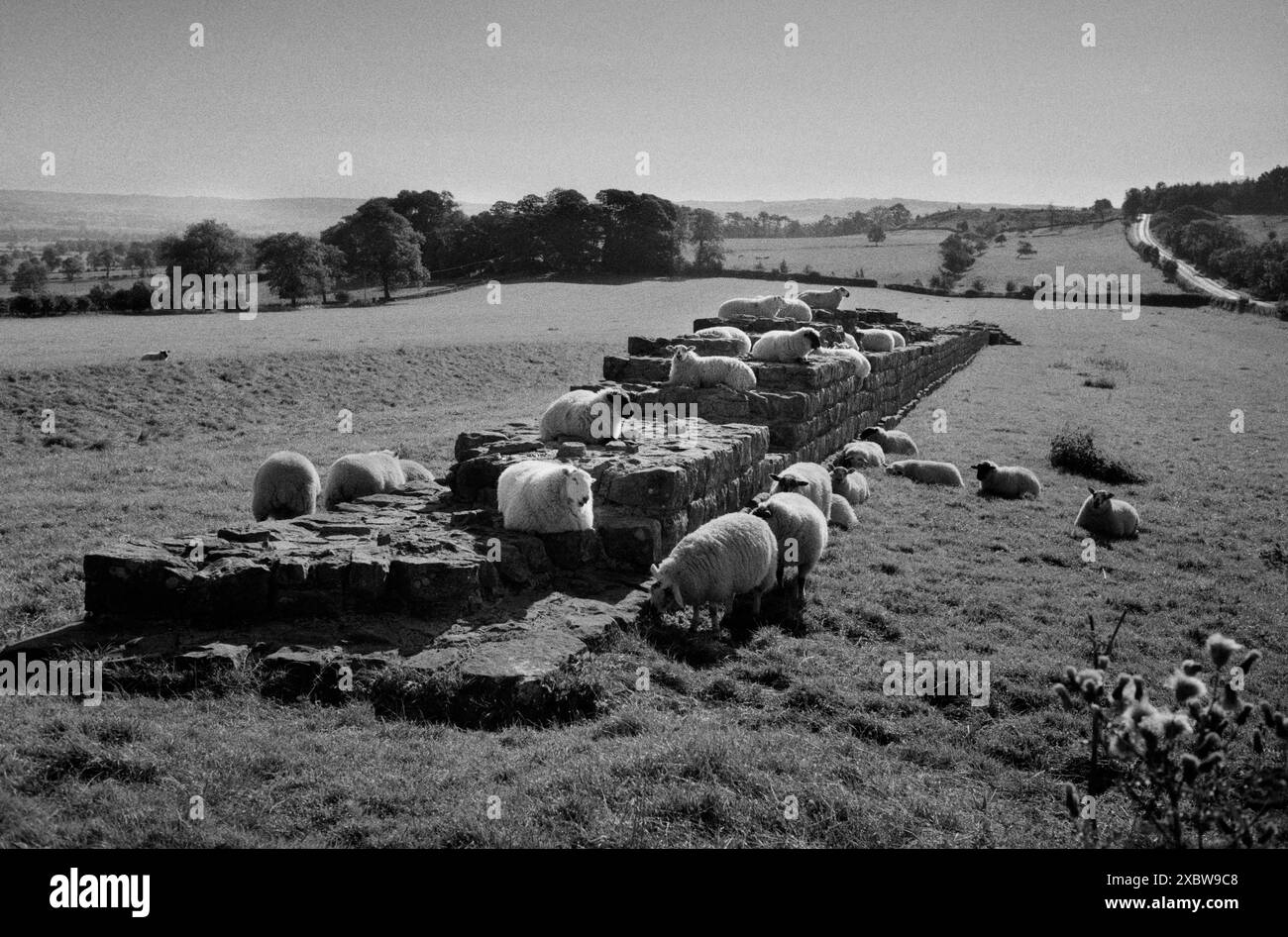 Picts wall hi-res stock photography and images - Alamy