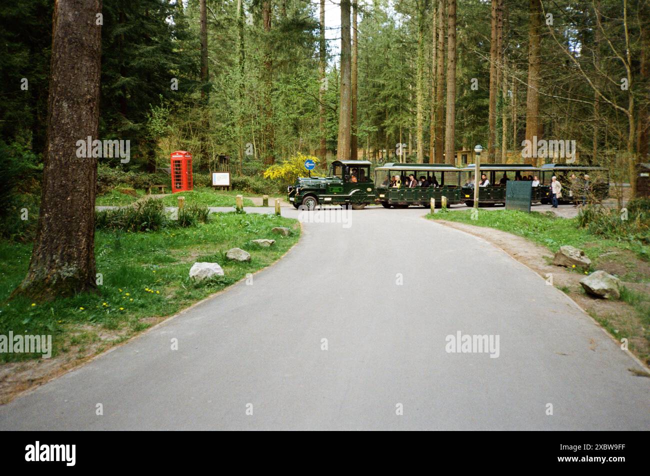 Land train at Centre Parcs, Longleat, Wiltshire, England, United ...