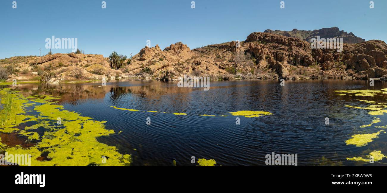 Water in the desert; large lake with some algae, in the wider landscape ...