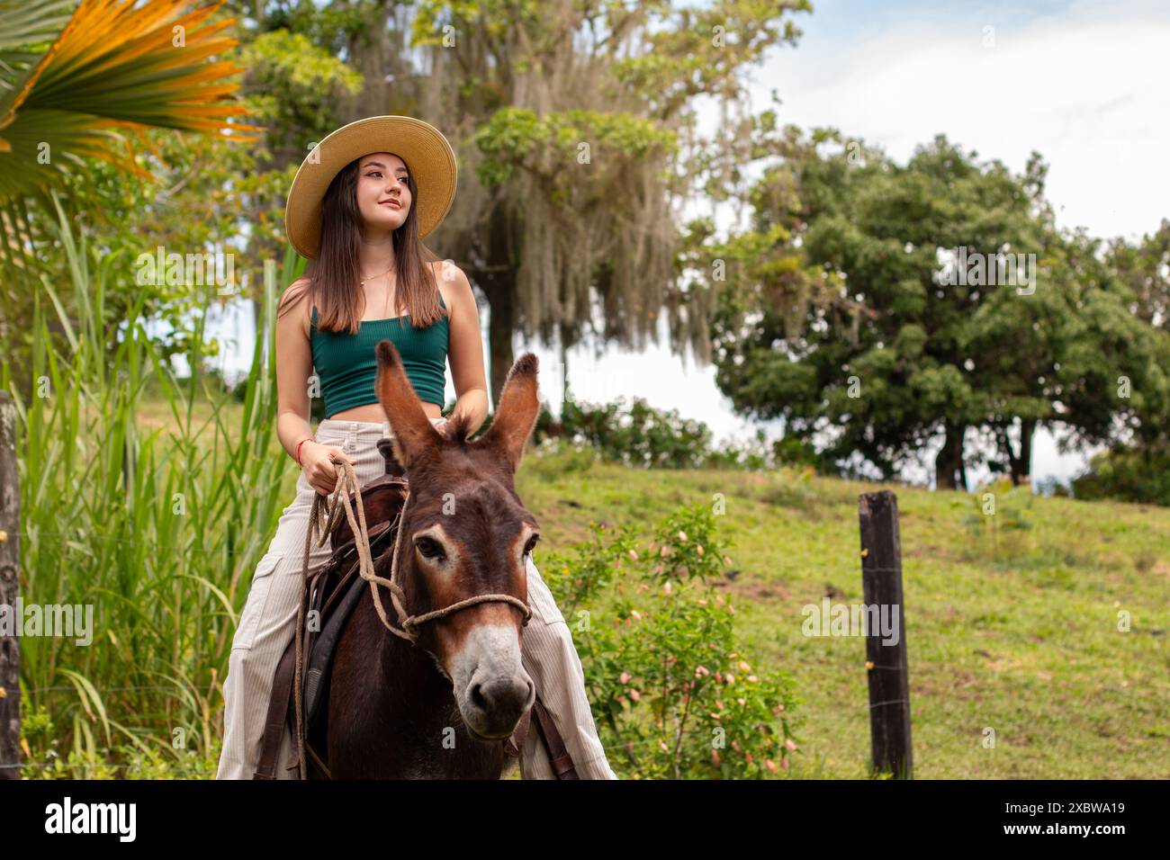 lifestyle: beautiful woman riding a donkey with beautiful scenery in ...