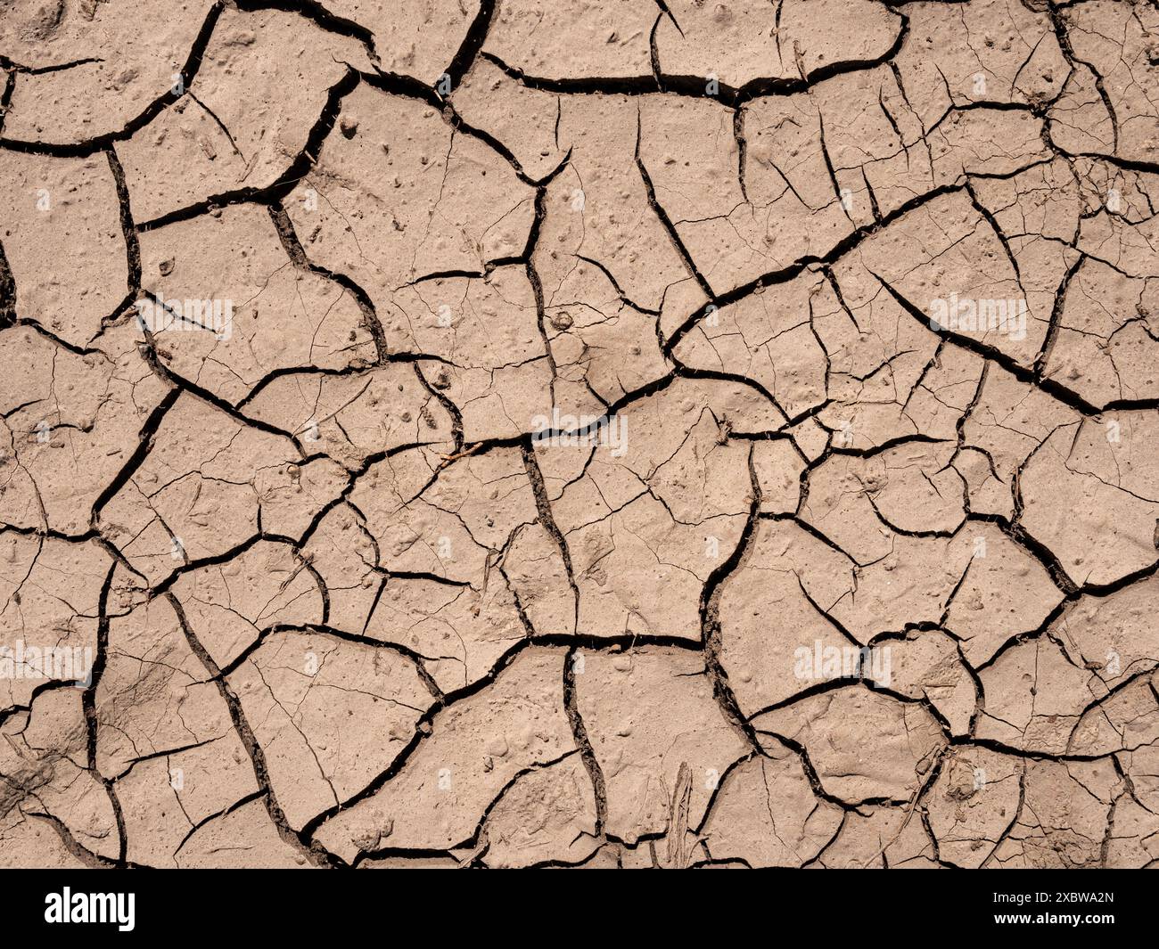 Brown dry soil or cracked ground. close up texture background. dry ...