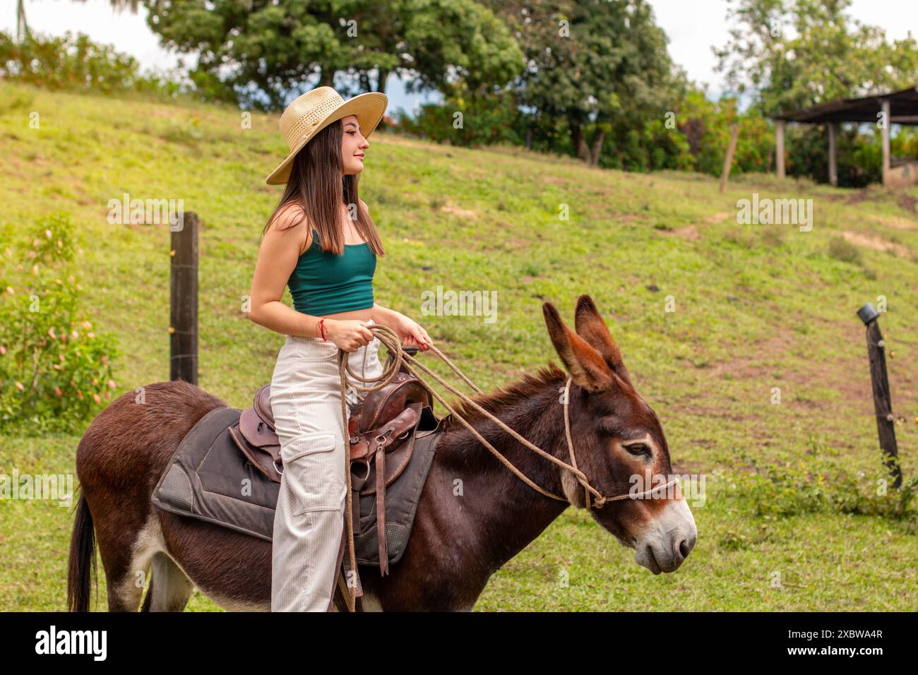 Woman riding donkey hi-res stock photography and images - Alamy