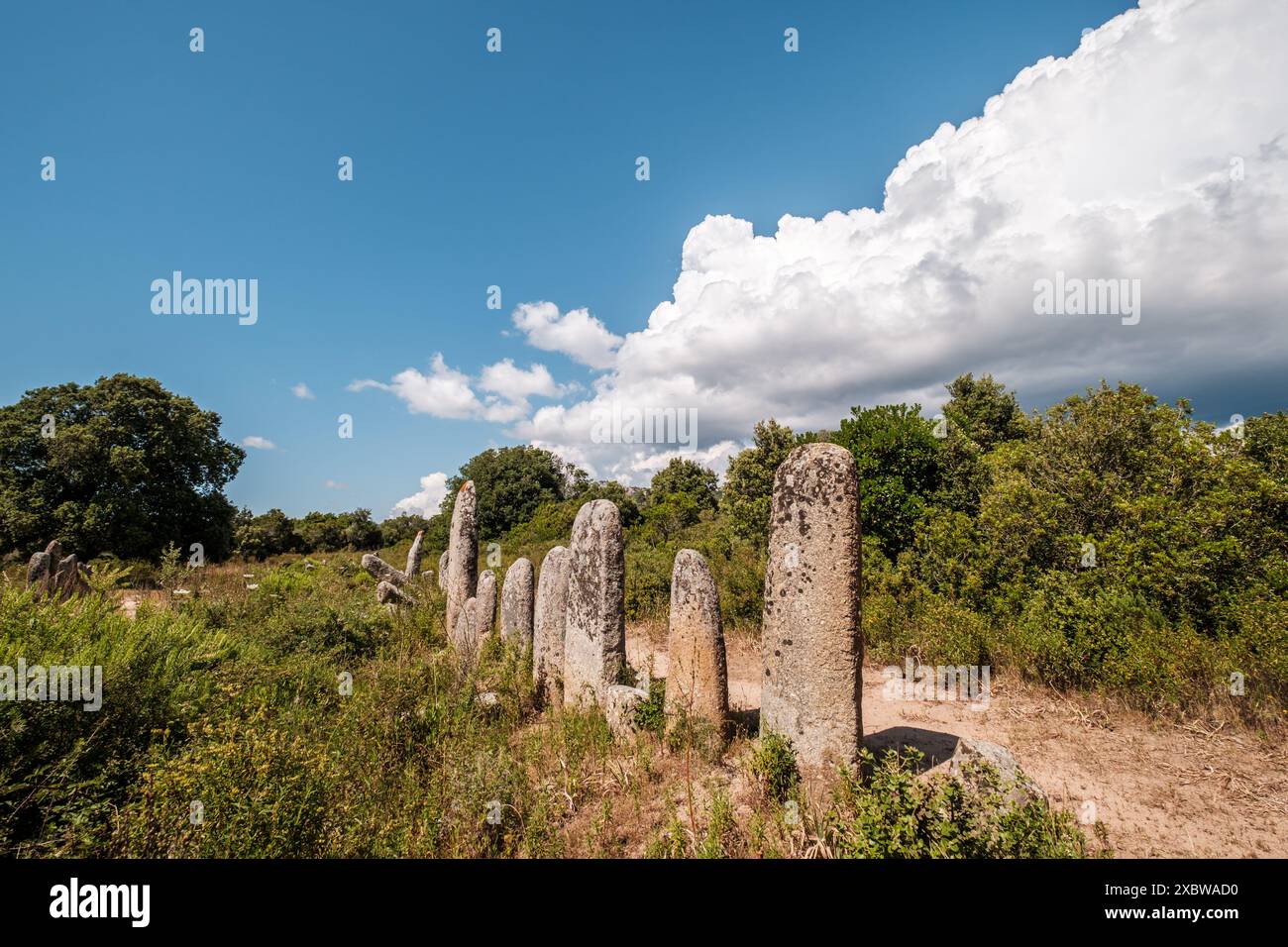 Menhirs of Palaggiu, a large group of prehistoric standing stones in ...
