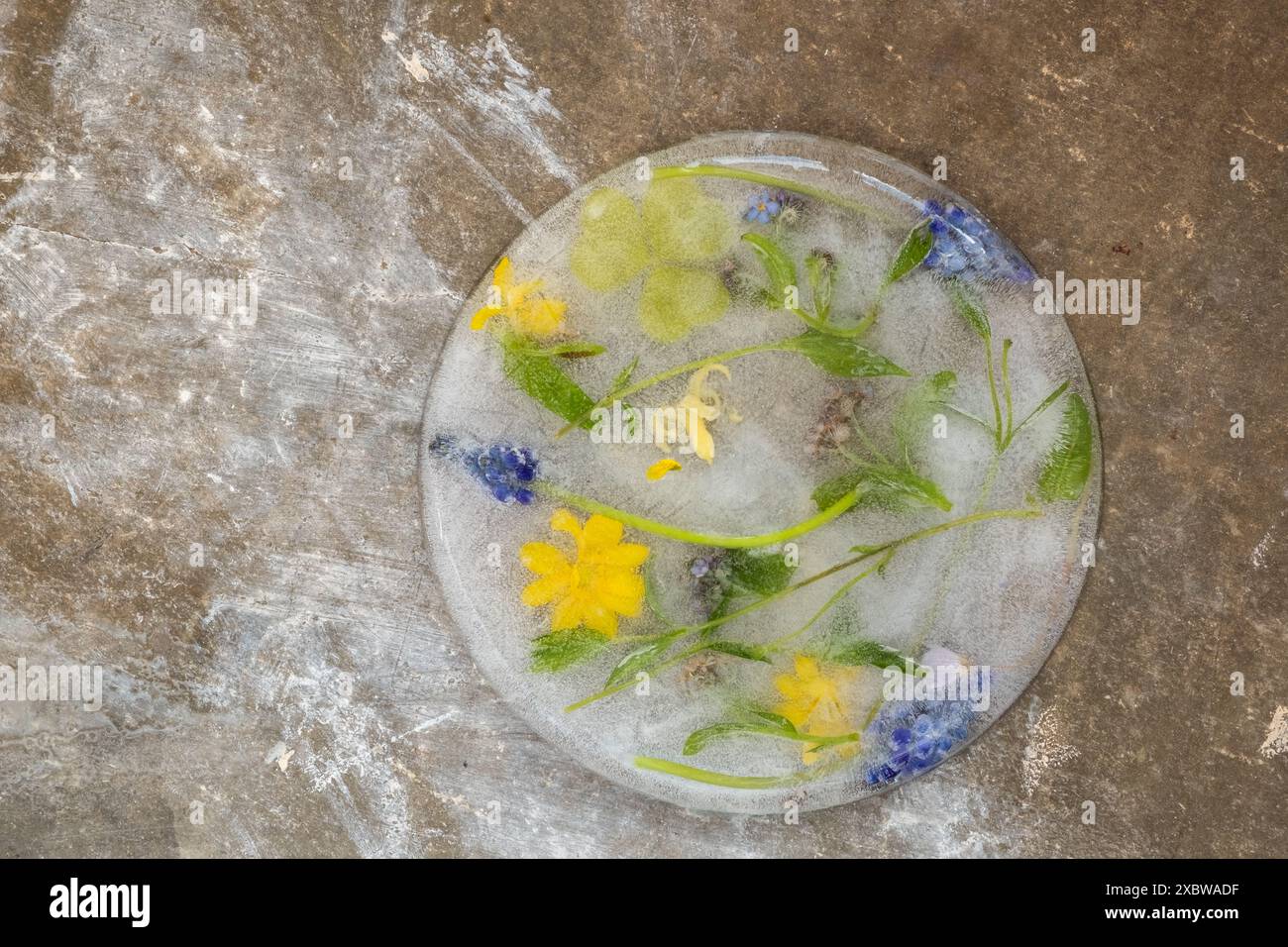 round, clear ice block with embedded colorful flowers and greenery ...