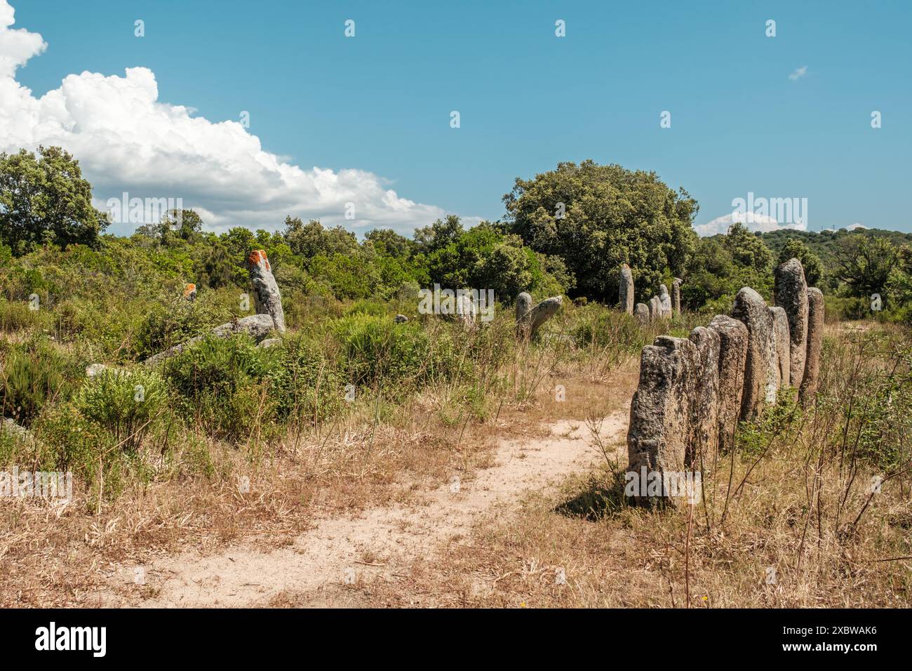 Menhirs of Palaggiu, a large group of prehistoric standing stones in ...