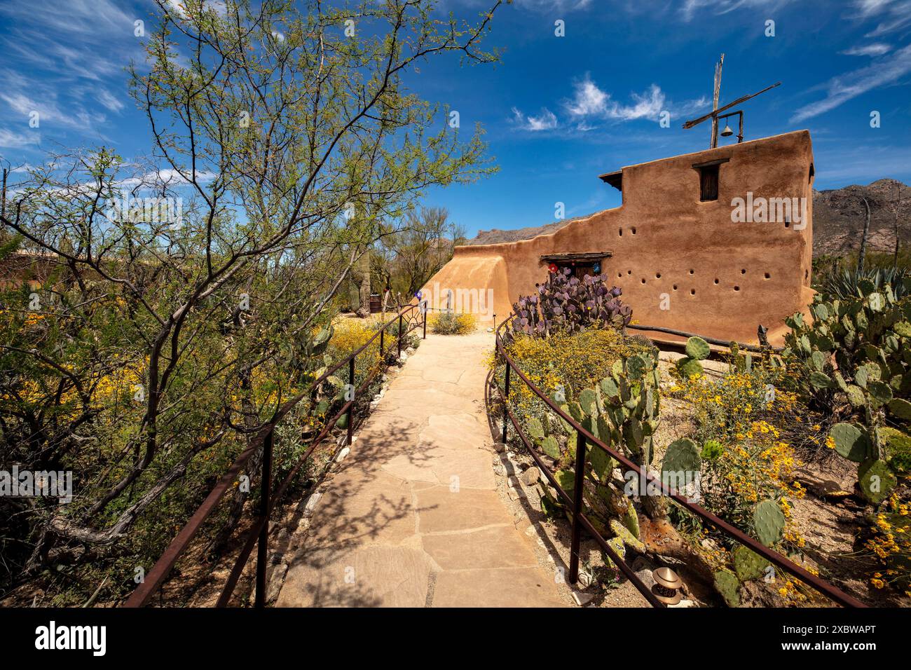 The not to be missed glorious Skyline Gallery, DeGrazia Gallery in the ...