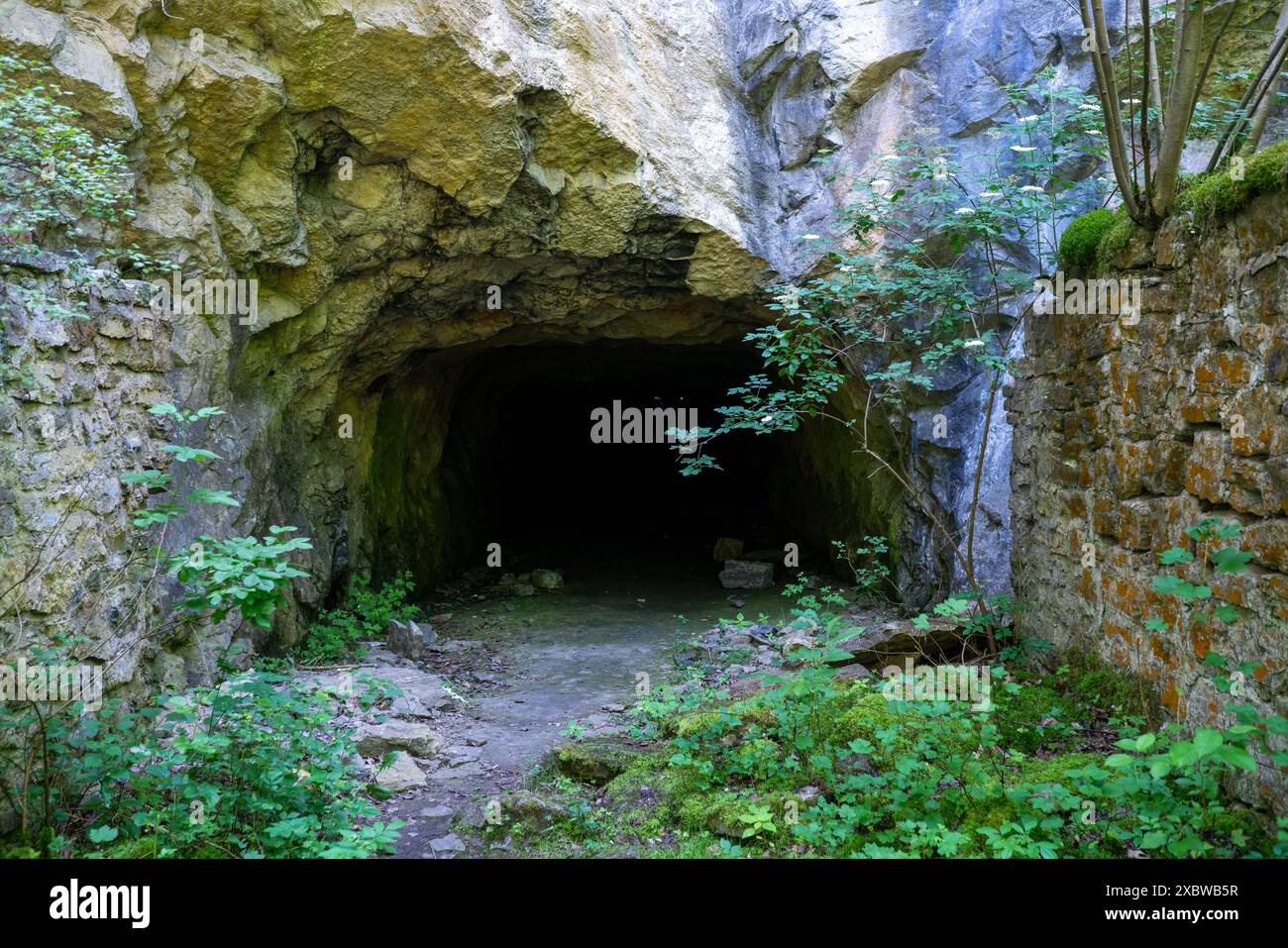 Entrance to a limestone mining adit in an old quarry, with a stone wall ...