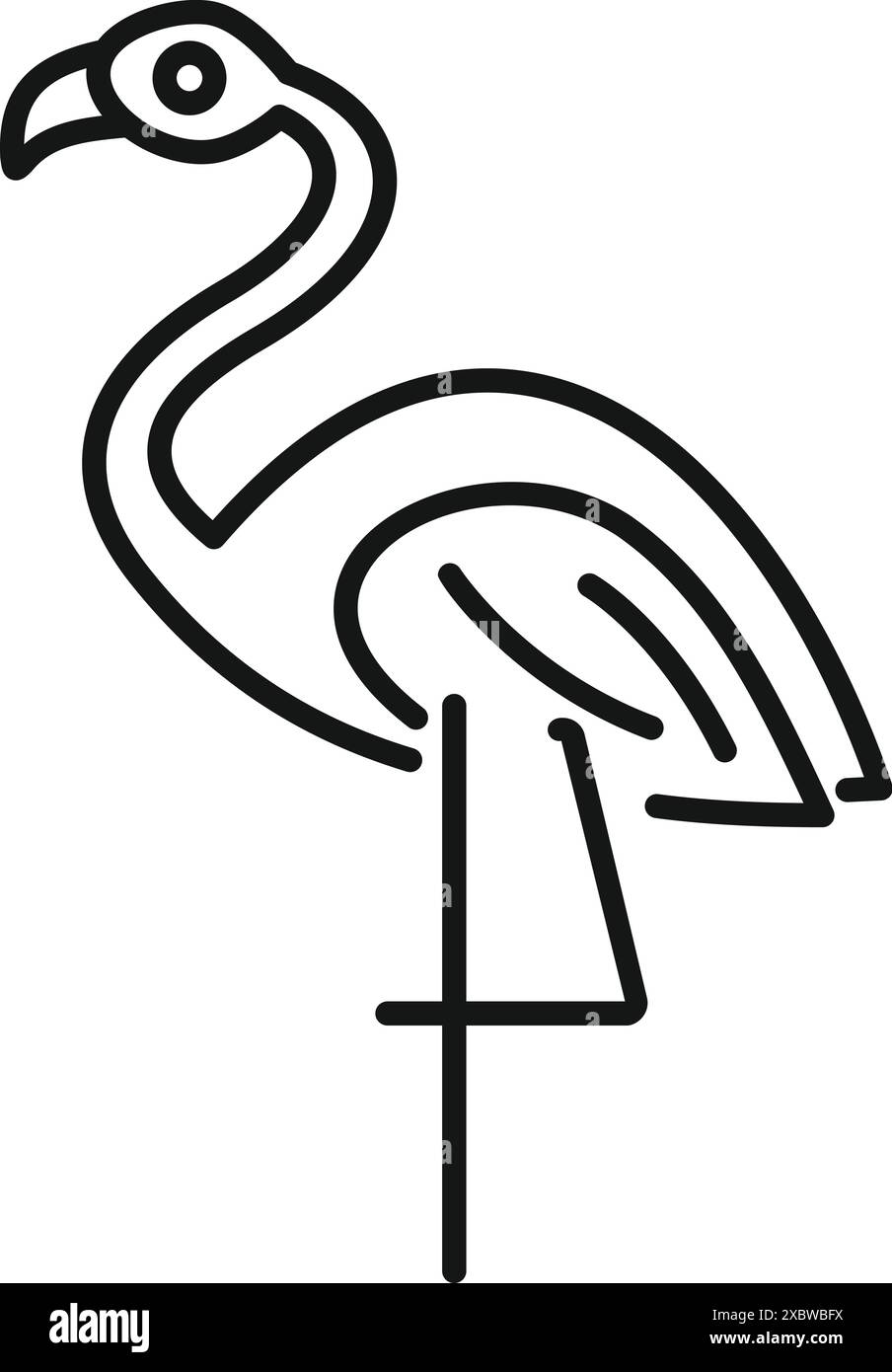 Flamingo legs Black and White Stock Photos & Images - Alamy