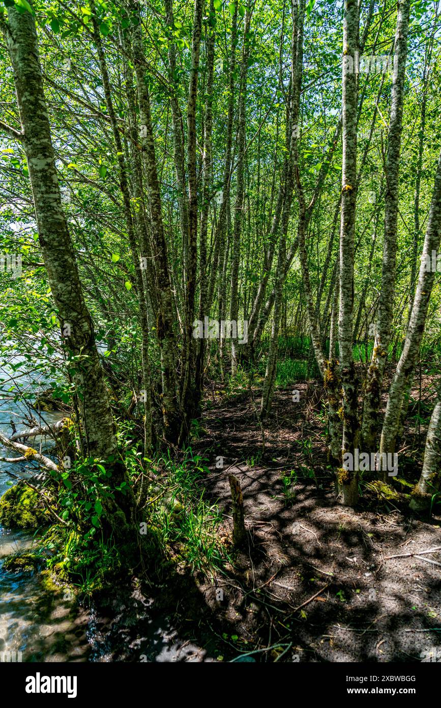 Highway 410 washington hi-res stock photography and images - Alamy