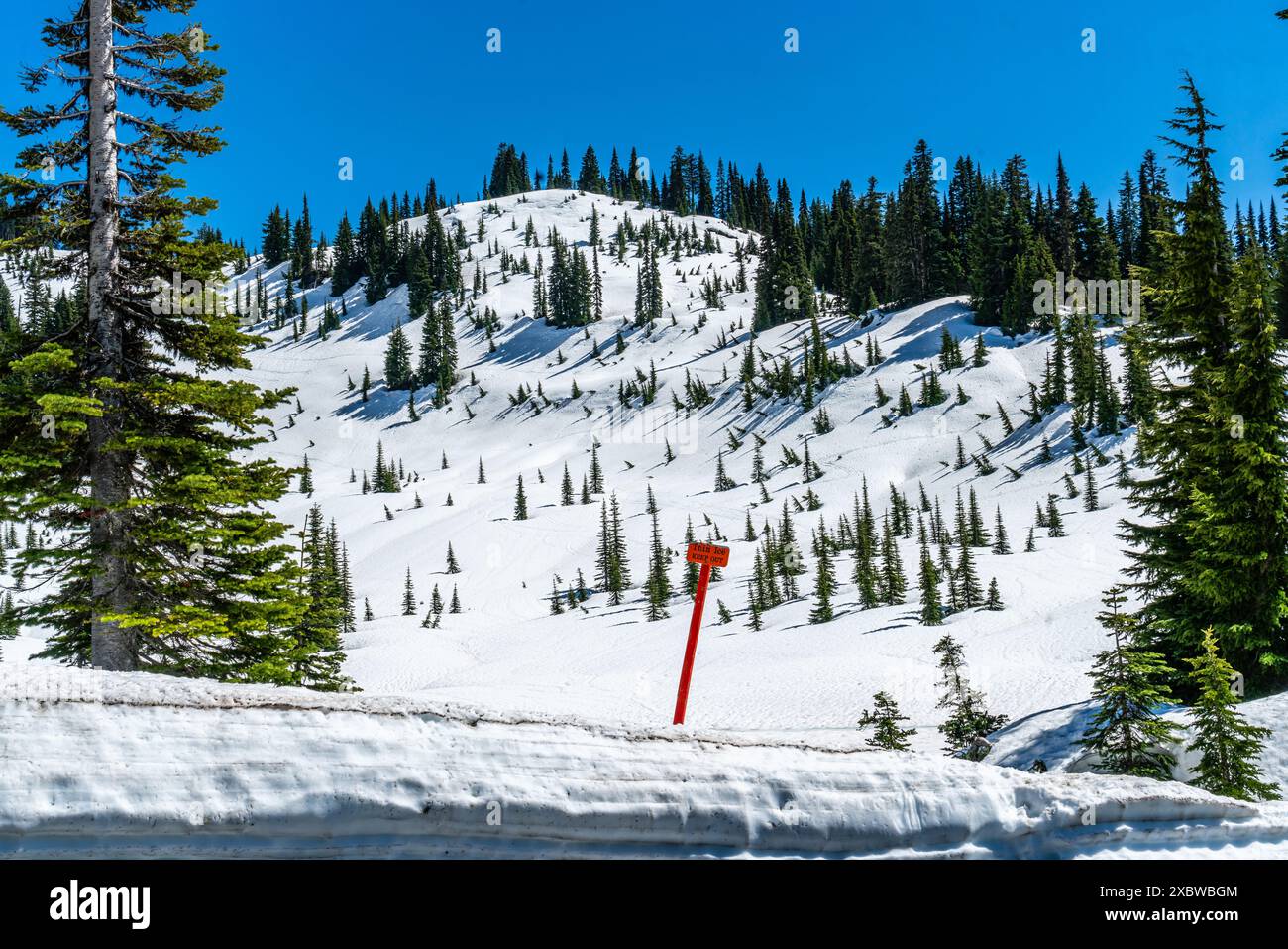 A view of a hillside covered with snow at Chinook Pass in Washington ...