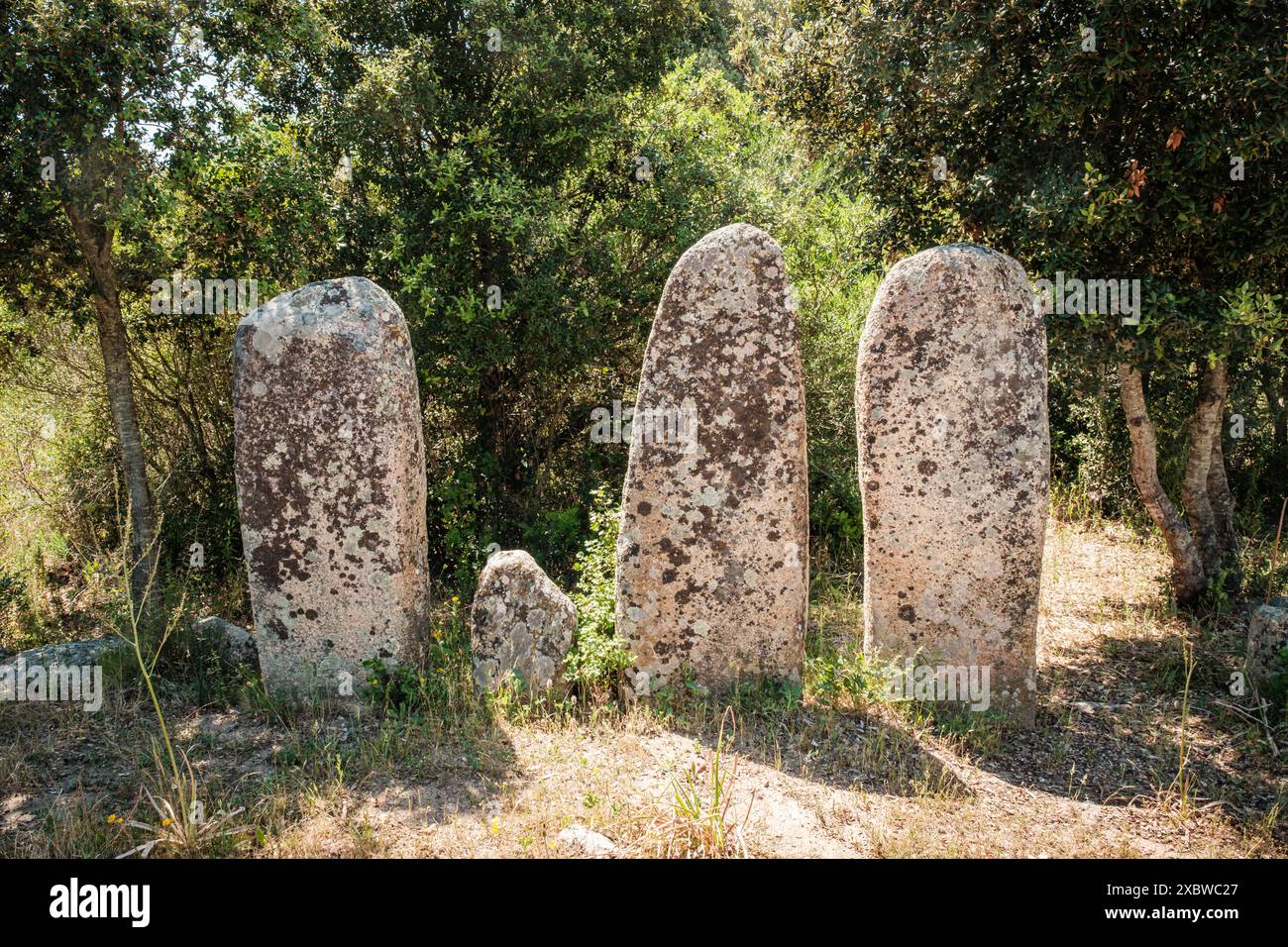Menhirs of Palaggiu, a large group of prehistoric standing stones in ...