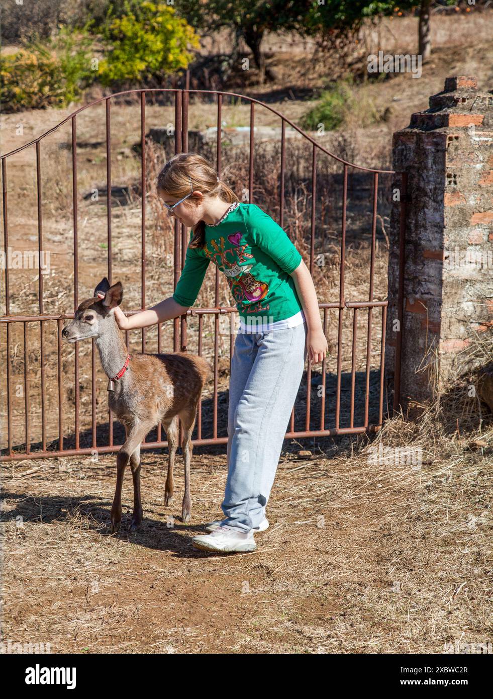 A young girl wearing glasses pets a friendly deer in a rustic countryside setting. Captured by ...
