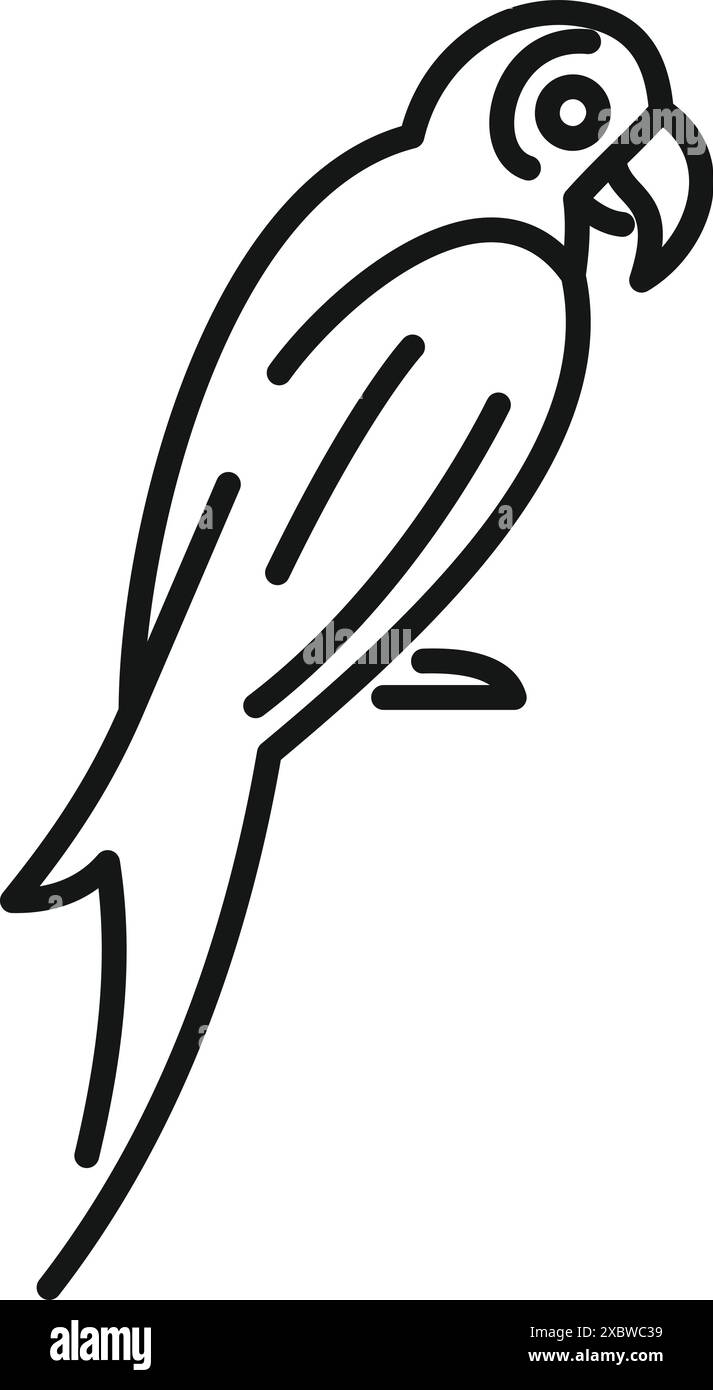 Simple line art illustration of a macaw parrot sitting on a tree branch ...