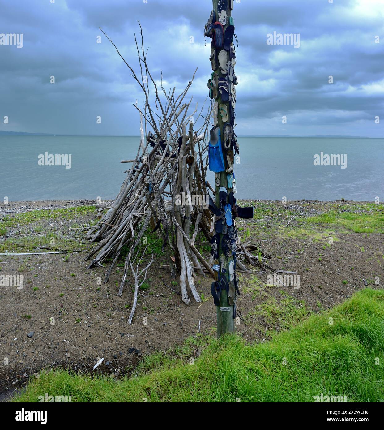 Natural tree shetler built at high tide Stock Photo - Alamy